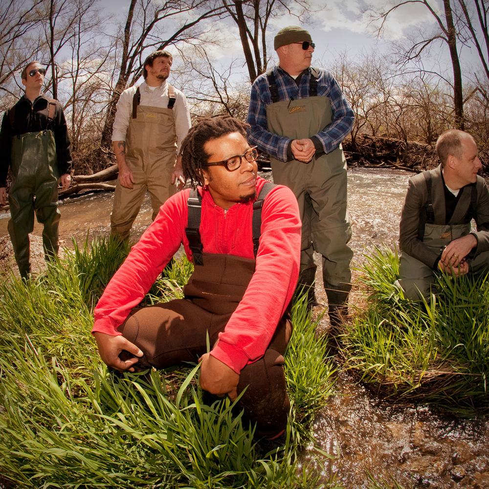 Tortoise | portALTERNATIVO