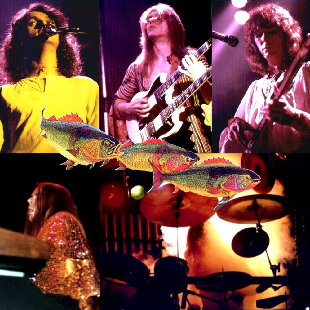 Yes | portALTERNATIVO