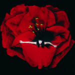 Escucha un par de rarezas de la reedición de «Adore» de The Smashing ...