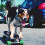 CHON muestran como grabaron «Homey» – portALTERNATIVO